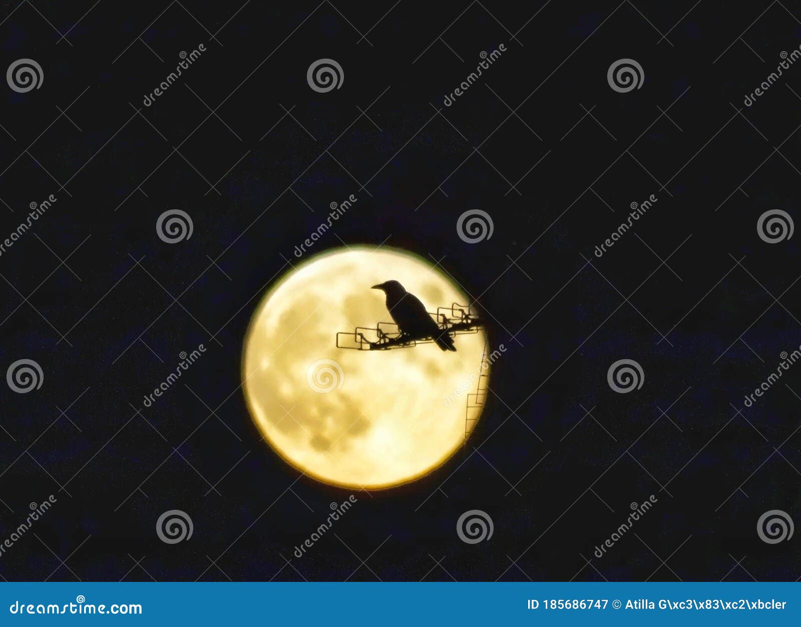 The Moon and Bird stock image. Image of space, font - 185686747