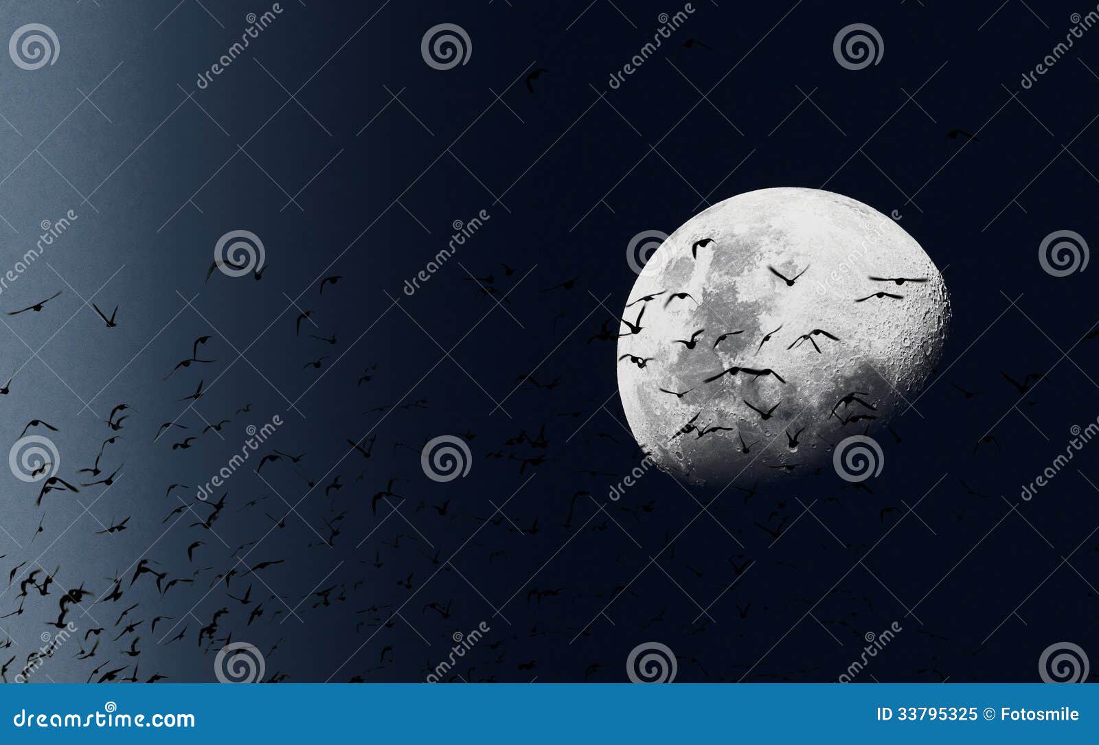 Moon and birds stock image. Image of horizontal, creative - 33795325