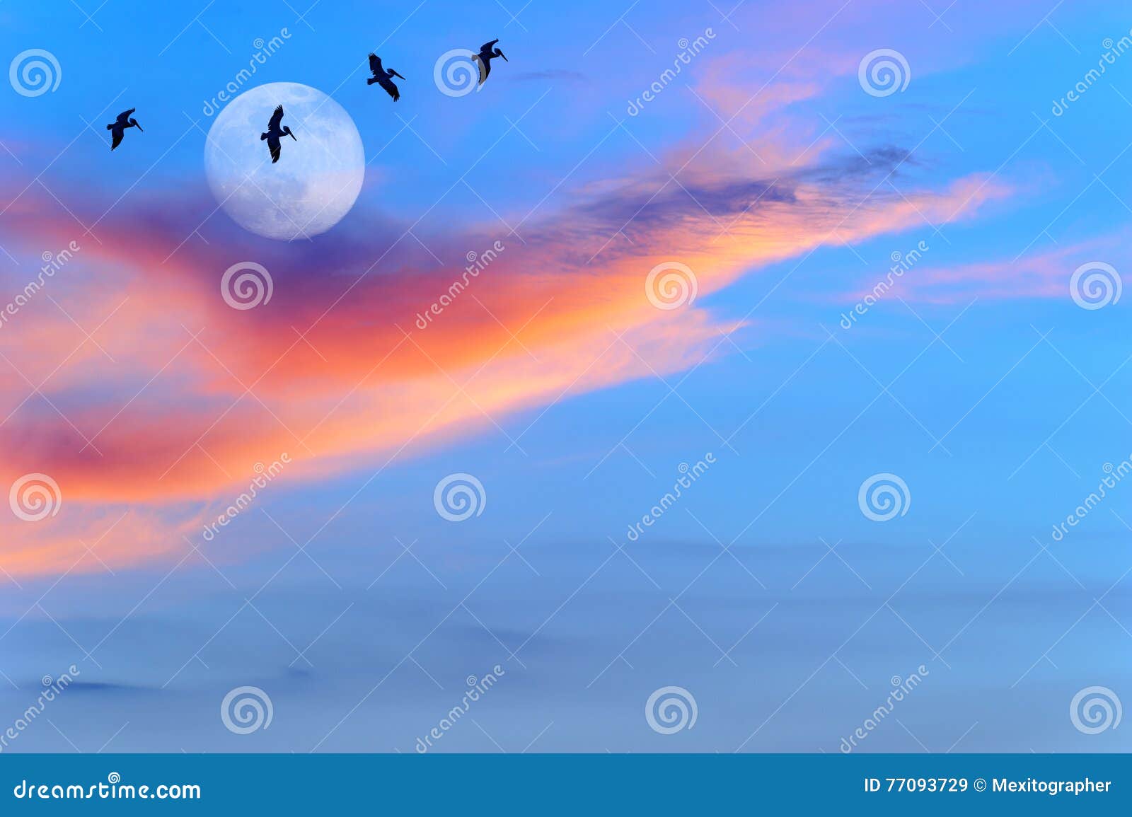 Moon Birds Silhouettes stock image. Image of inspirational - 77093729