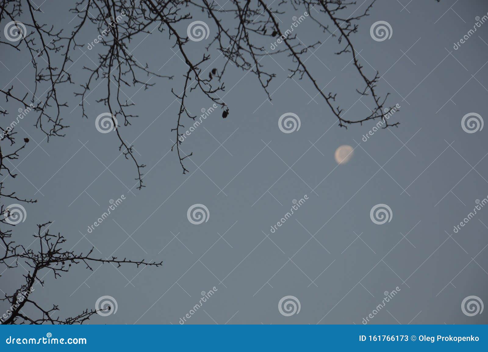 Moon in the Blue Sky Close-up at Sunrise Stock Image - Image of moon ...