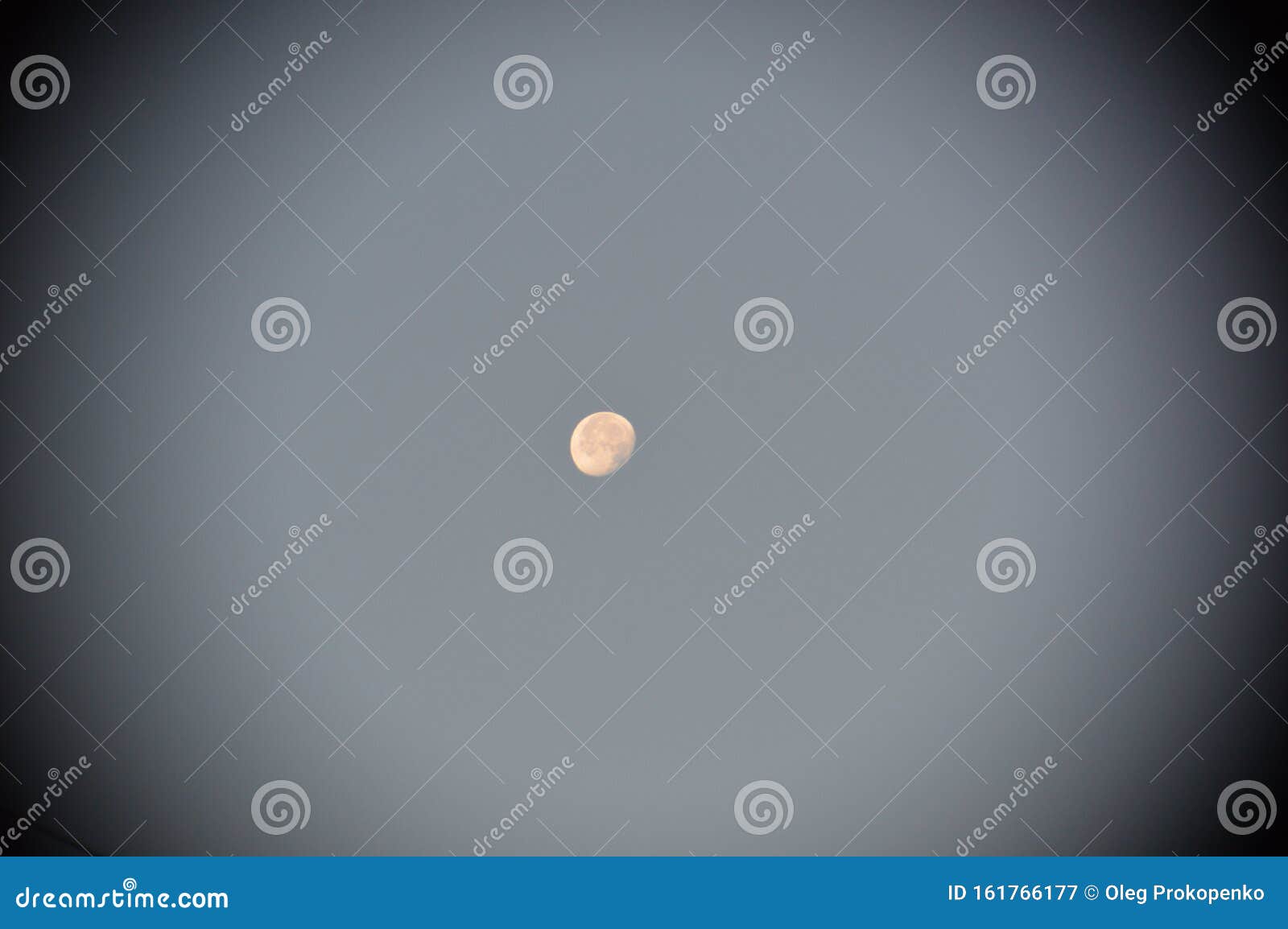 Moon in the Blue Sky Close-up at Sunrise Stock Image - Image of branch ...