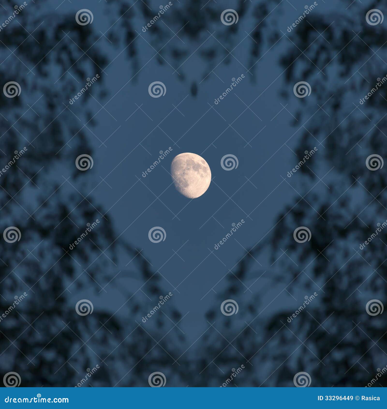 Moon and Branches in the Shape of Heart Stock Image - Image of branch ...