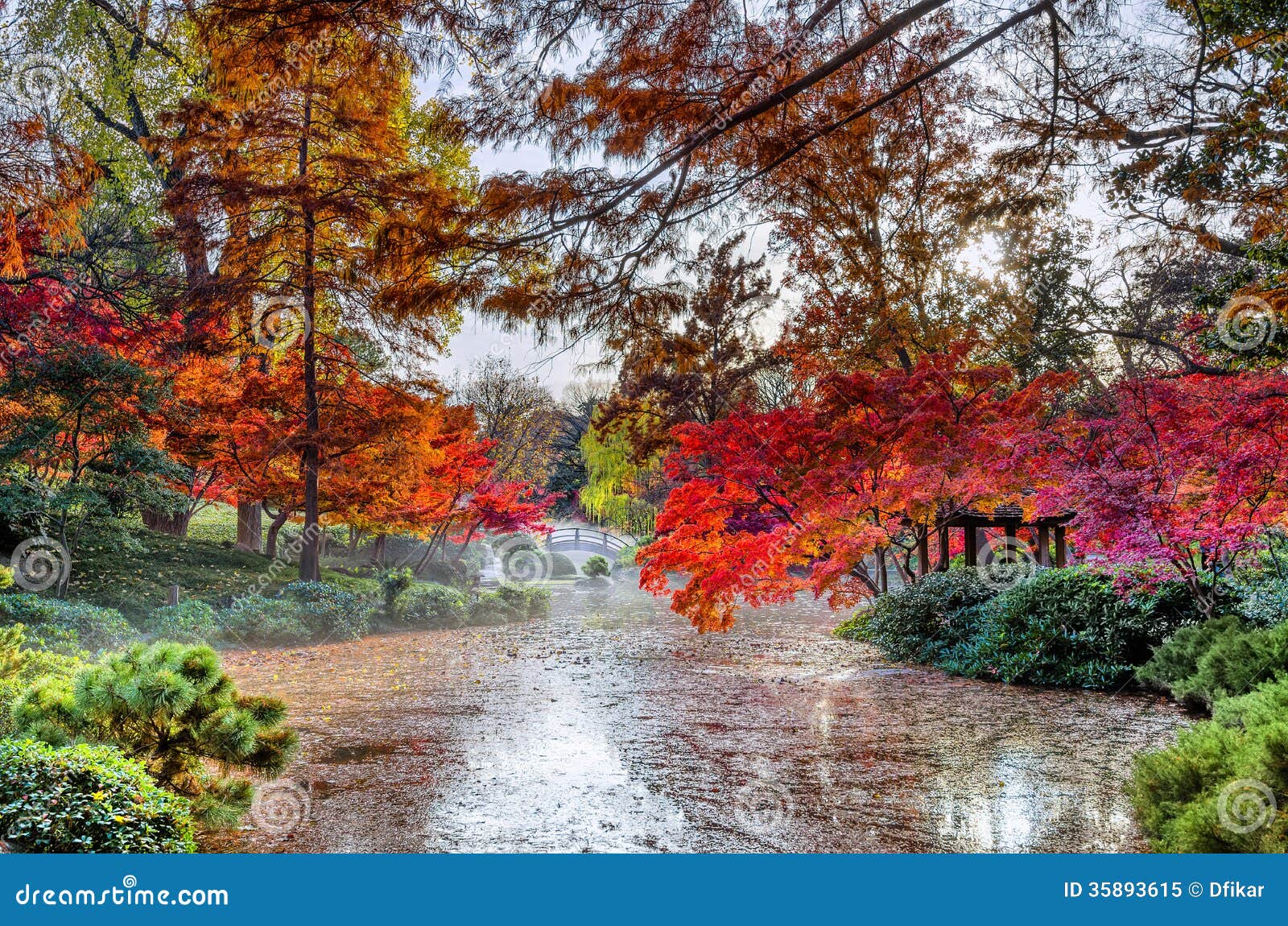 Moon Bridge in the Mist stock image. Image of nature - 35893615