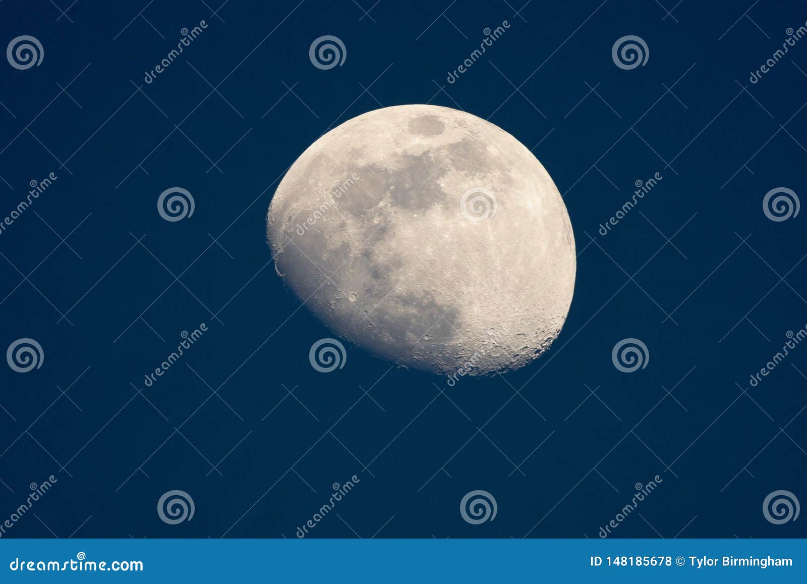 Daytime Moon stock photo. Image of daylight, daytime - 148185678