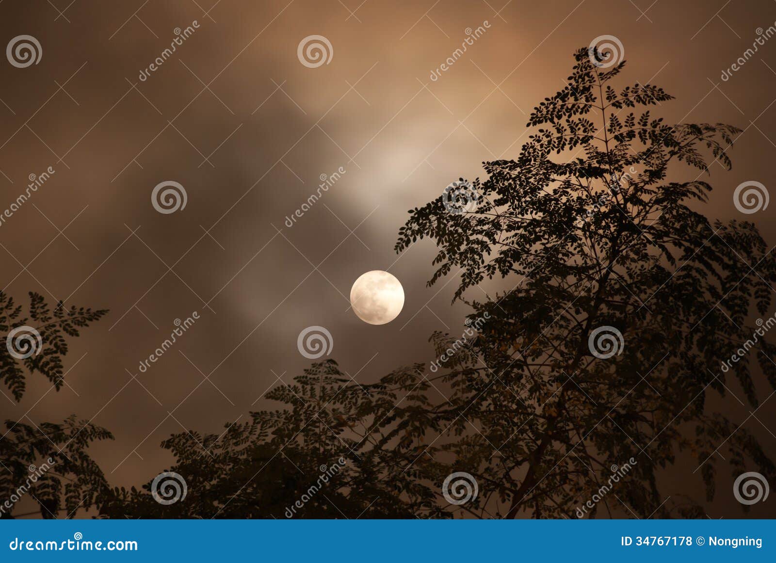 Moon in the cloudy night stock photo. Image of moonlight - 34767178