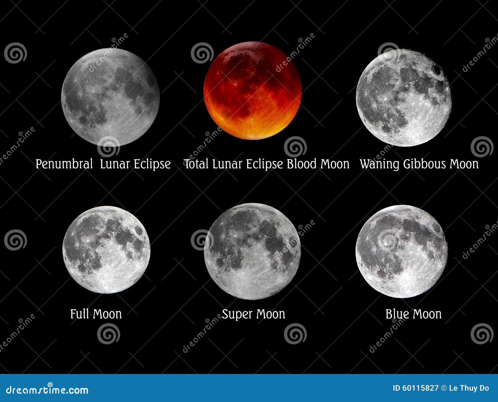 Moon Collection stock image. Image of astrophotography - 60115827
