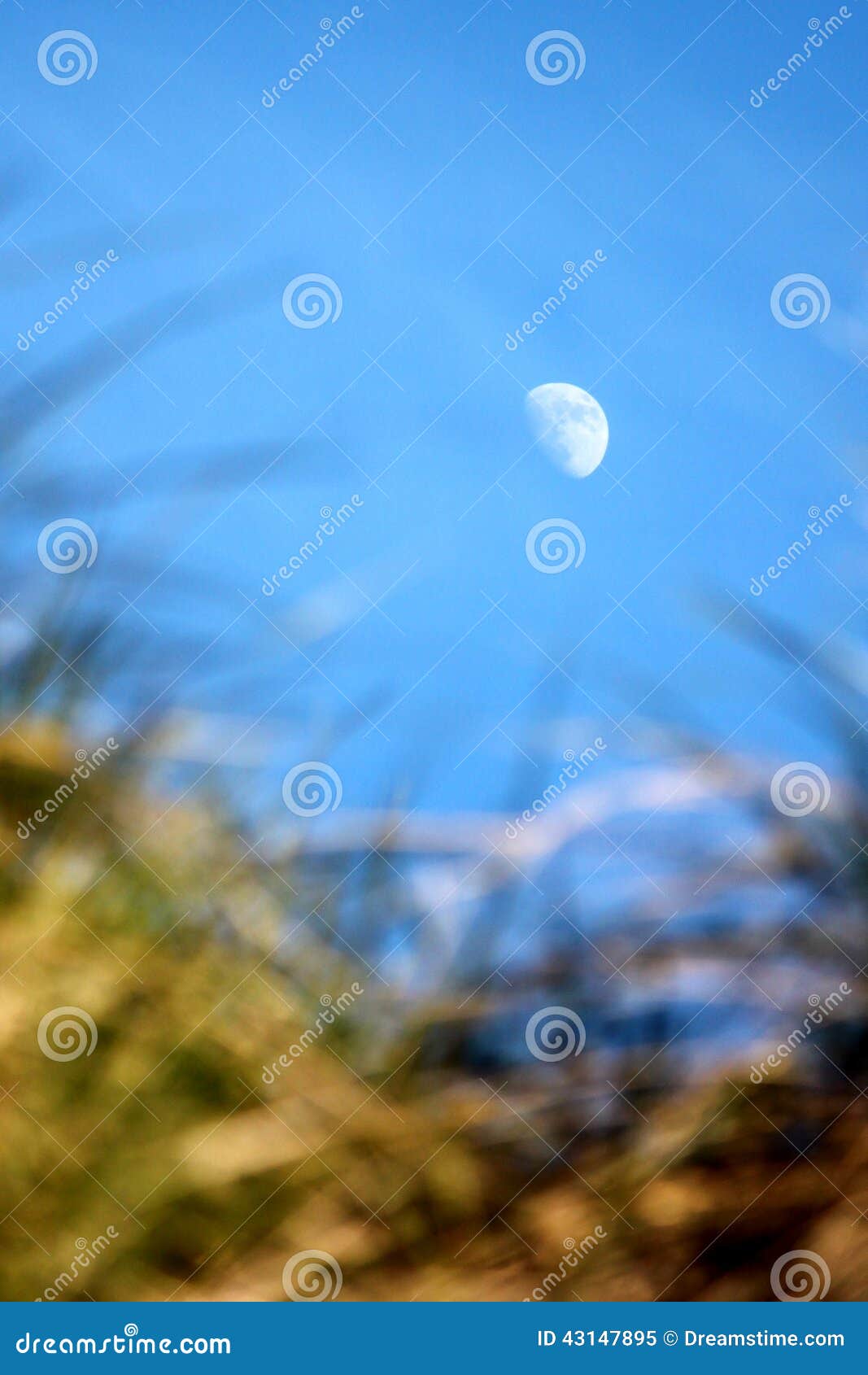 Moon during day stock image. Image of showing, grass - 43147895