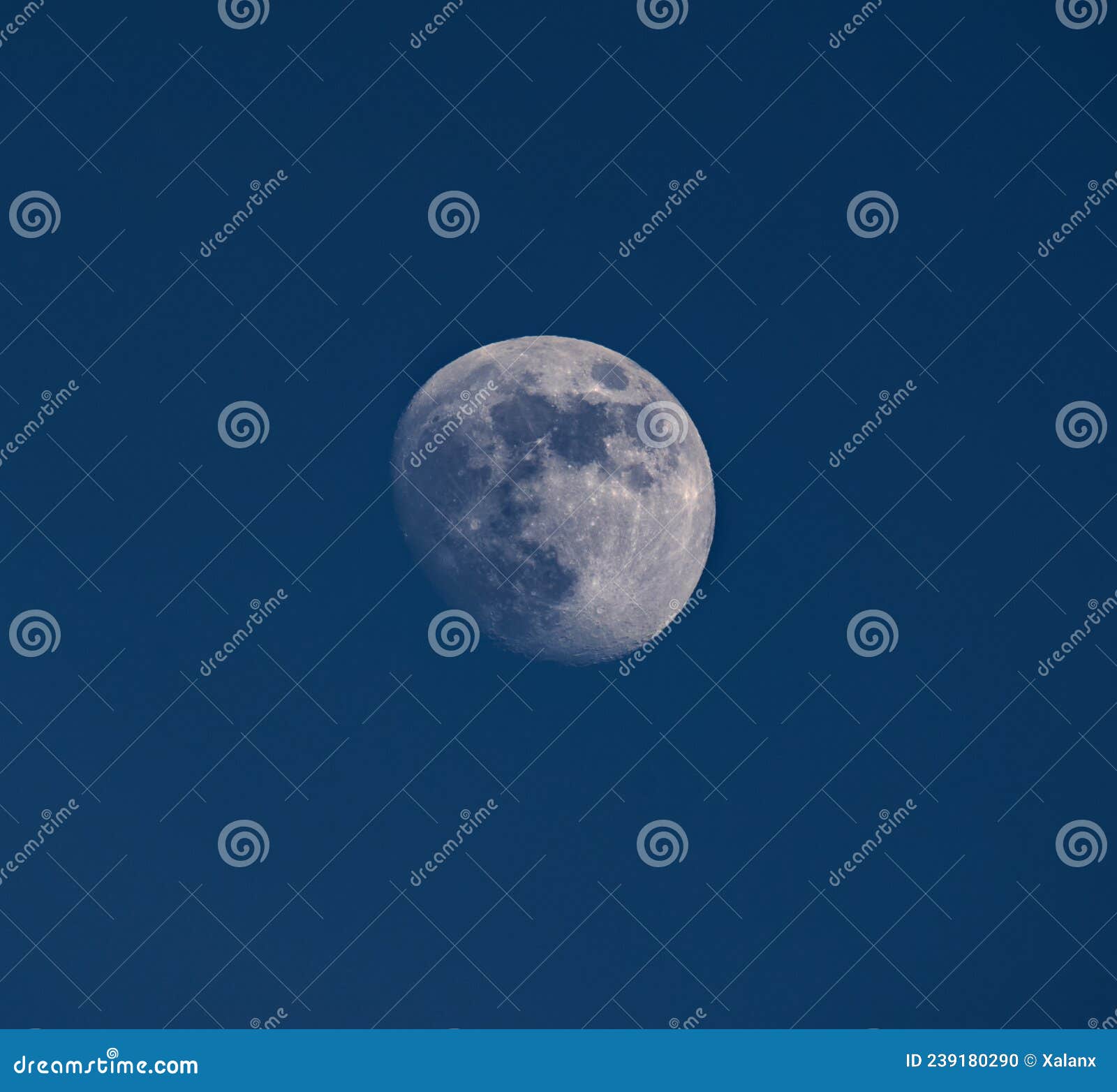 Moon in the daylight stock photo. Image of astronomy - 239180290