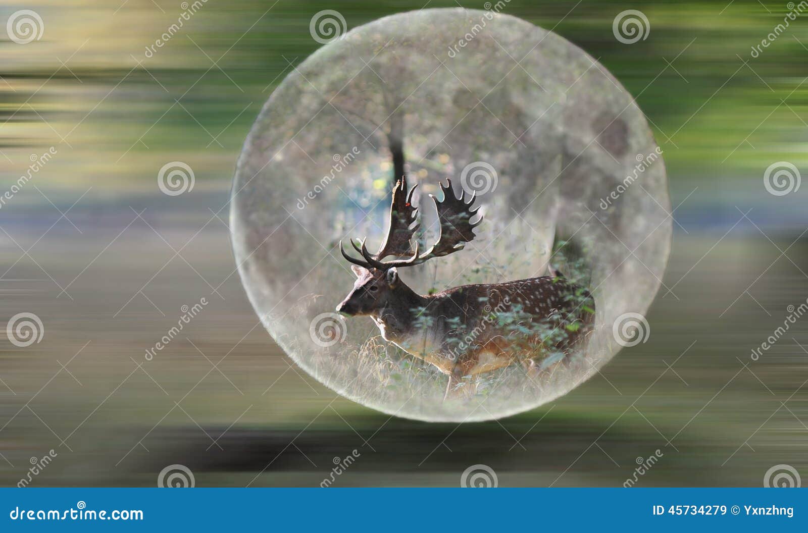 Moon dreaming stock image. Image of fullmoon, silent - 45734279