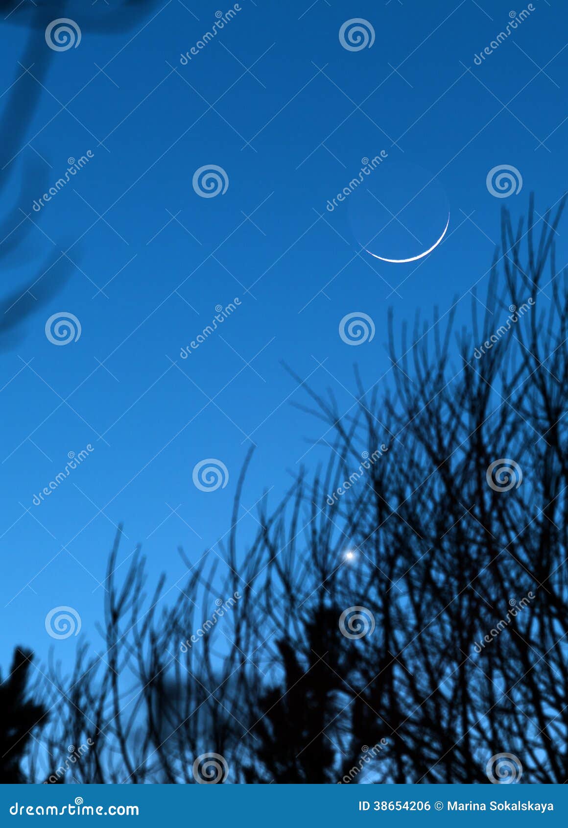 Moon earthshine stock photo. Image of crescent, glow - 38654206