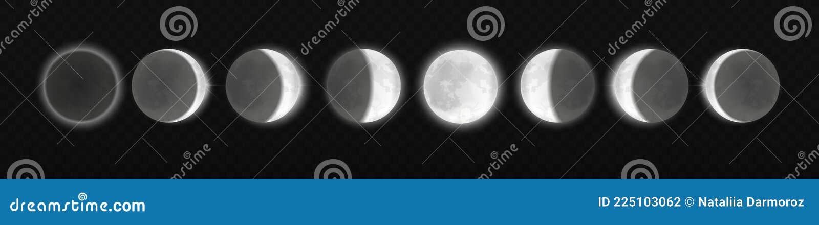 Moon Eclipse, Different Phases Astronomy Infographic. Lunar Eclipse ...