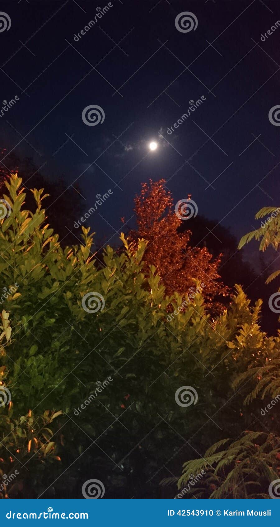 Moon end of might stock photo. Image of shine, morning - 42543910