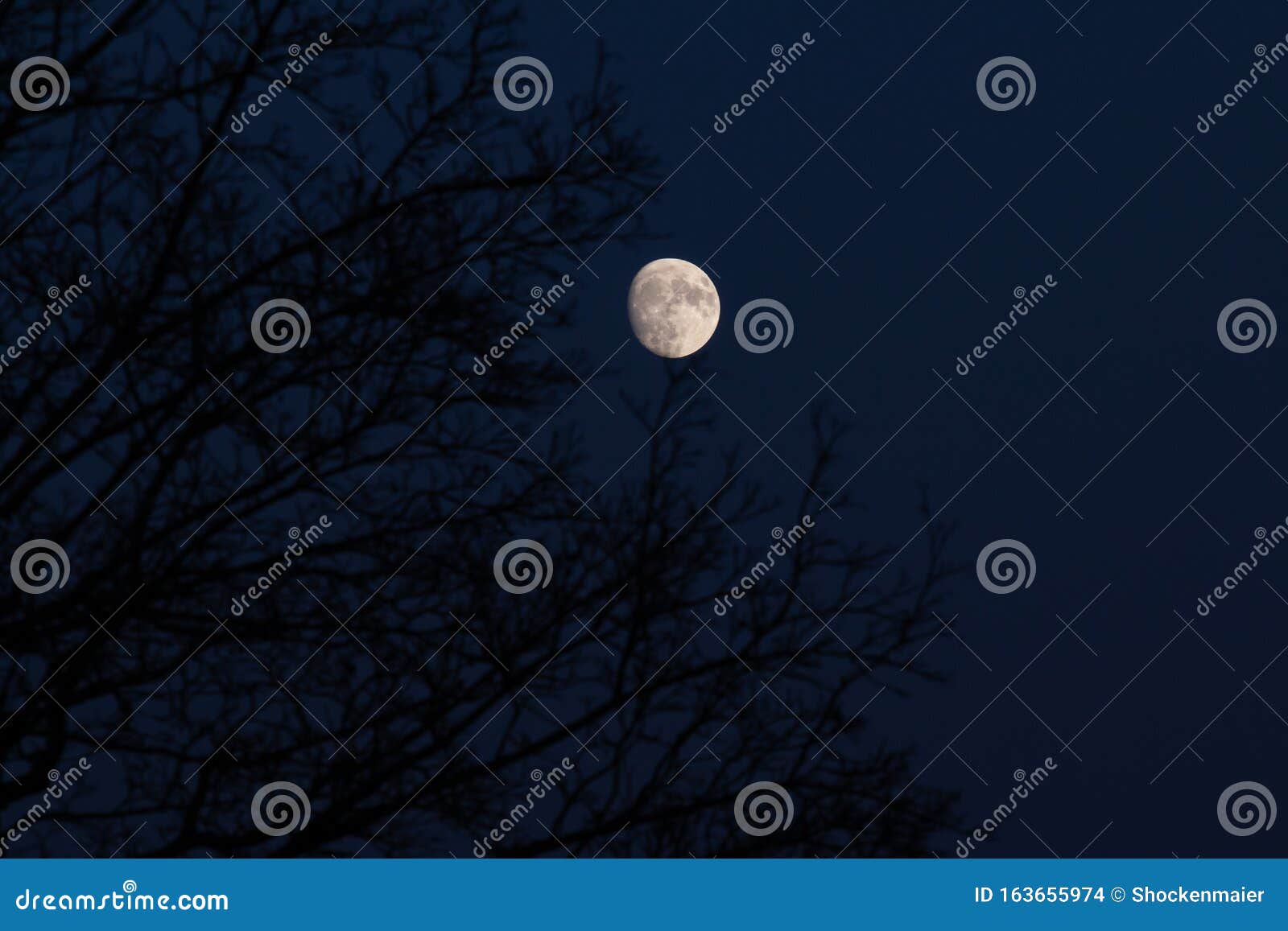 Moon in the evening stock photo. Image of evening, astronomy - 163655974