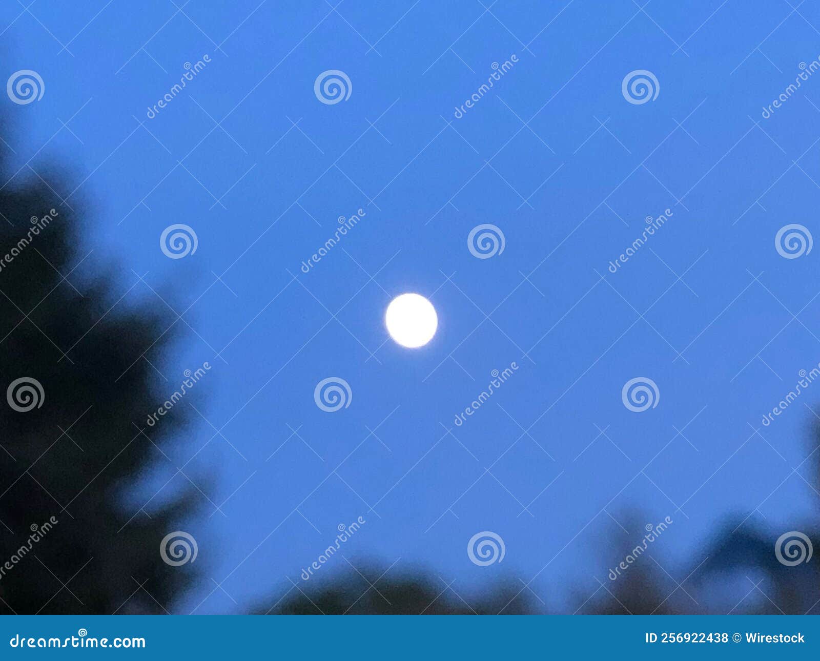 Moon in the Evening Blue Sky Stock Photo - Image of blue, night: 256922438