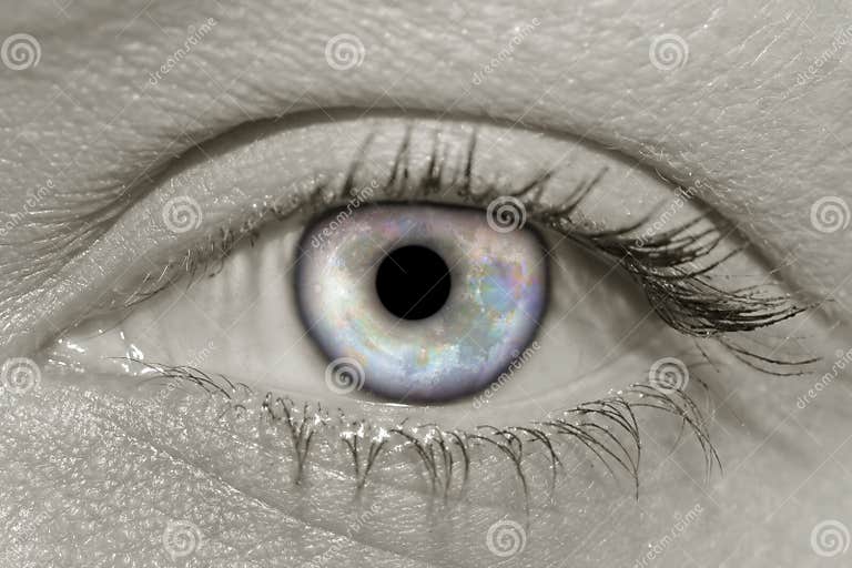 Moon in eye stock photo. Image of astronomy, white, moon - 4220238
