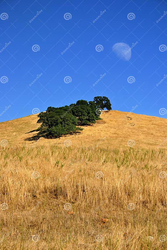 Moon and Field stock photo. Image of clear, francisco - 1516340
