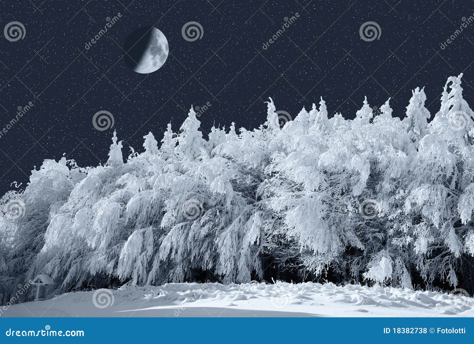 Moon and forest stock photo. Image of nature, park, atmosphere - 18382738