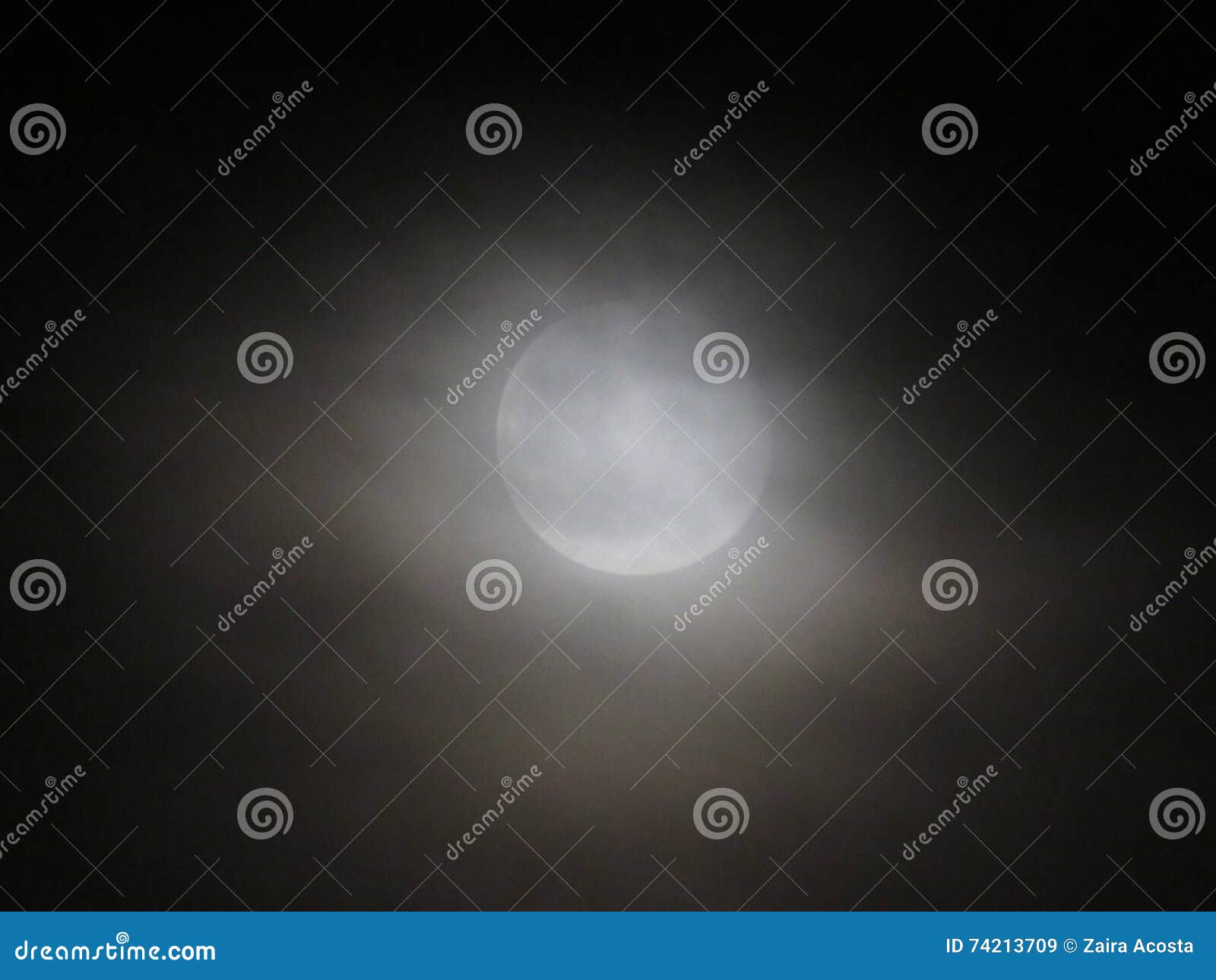Moon stock image. Image of florida, moon, full, night - 74213709