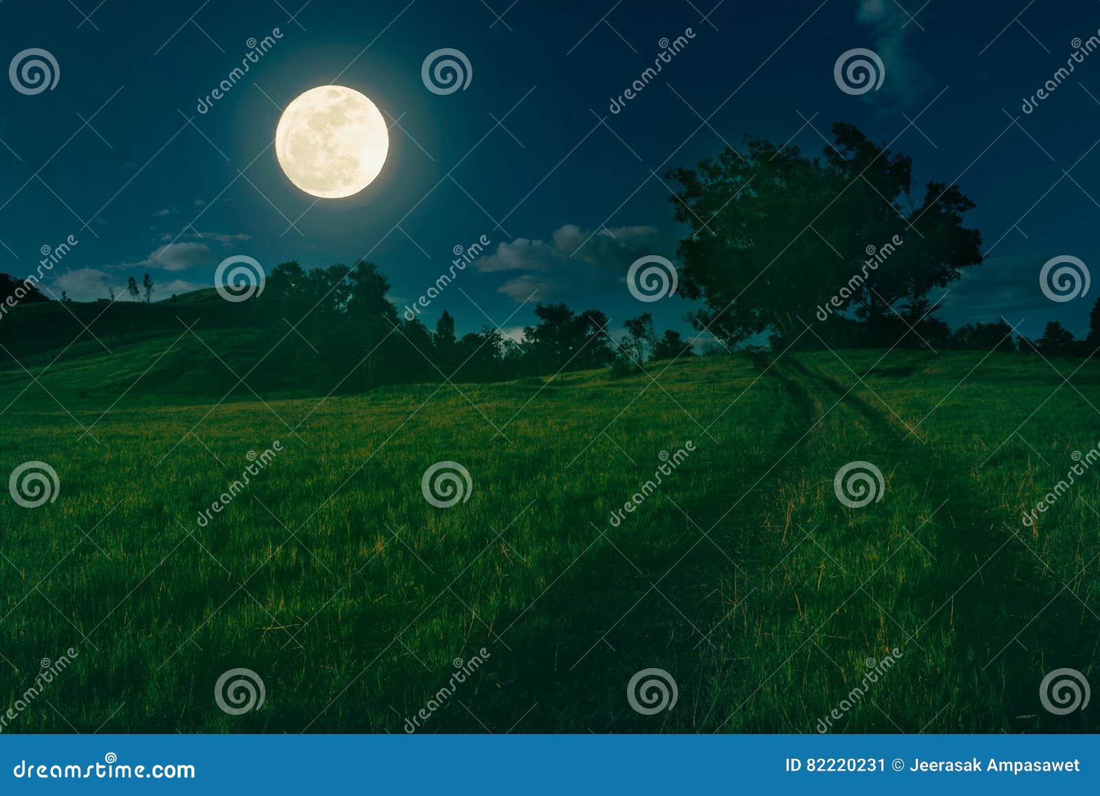 Moon stock image. Image of family, environment, green - 82220231