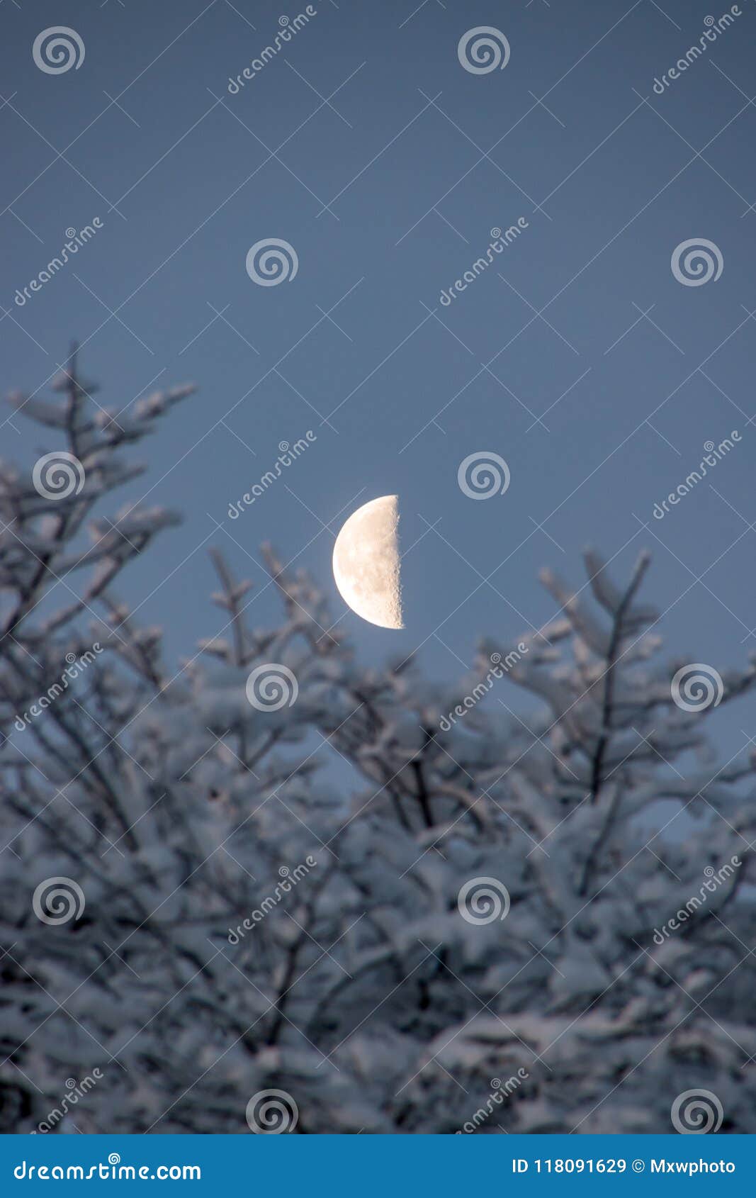 Moon Half Moon Winter Snow at Nightfall Stock Image - Image of ...