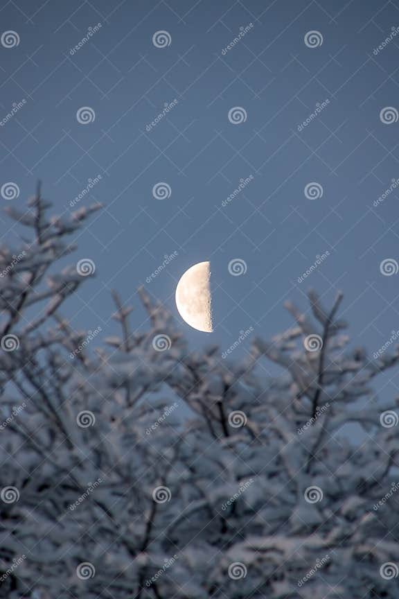 Moon Half Moon Winter Snow at Nightfall Stock Image - Image of ...