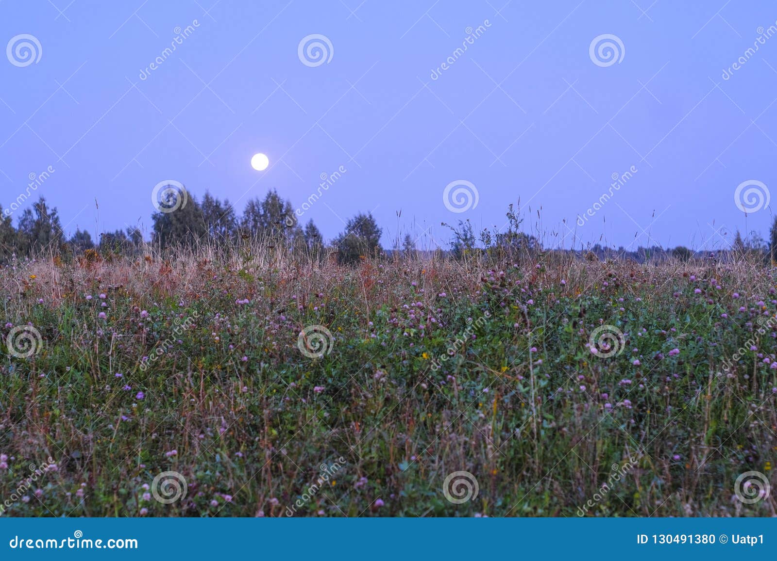 Moon Hanging Low Over the Field Stock Photo - Image of horizon, field ...
