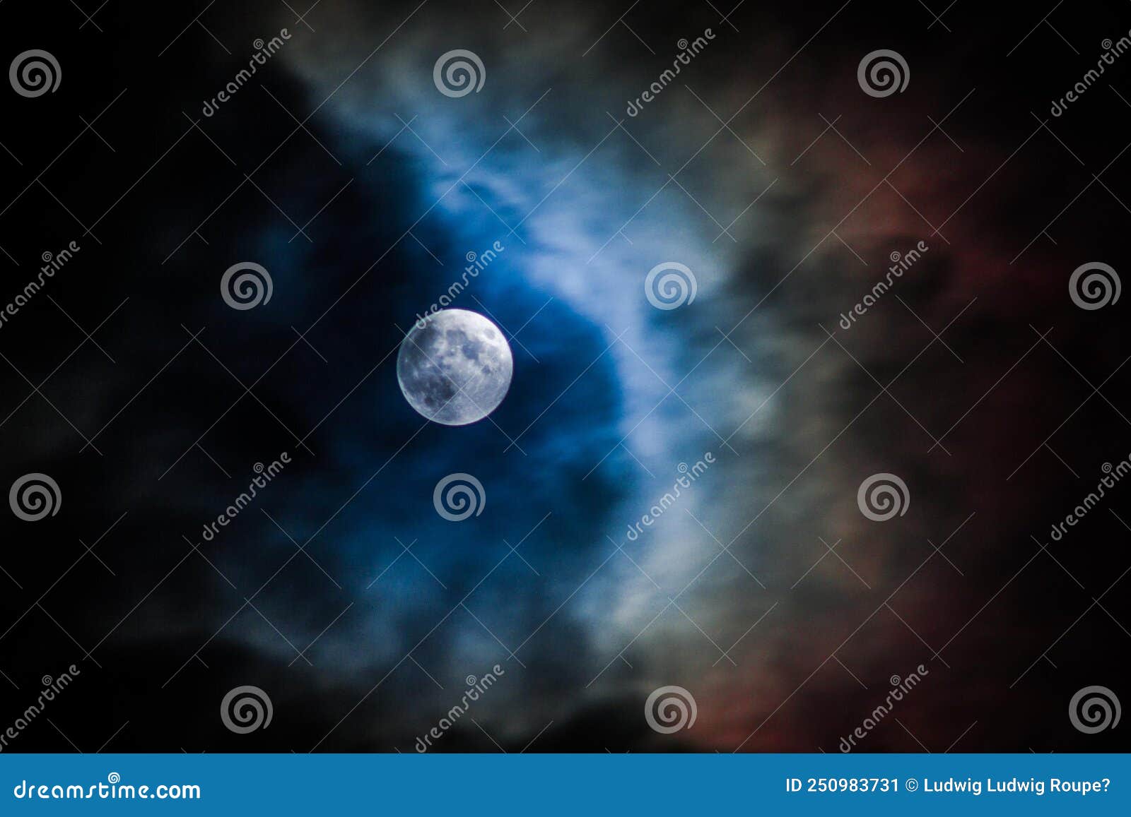 In The Darkness Of The Night, Grass Leaves Grow On Thin Stalks, And ...