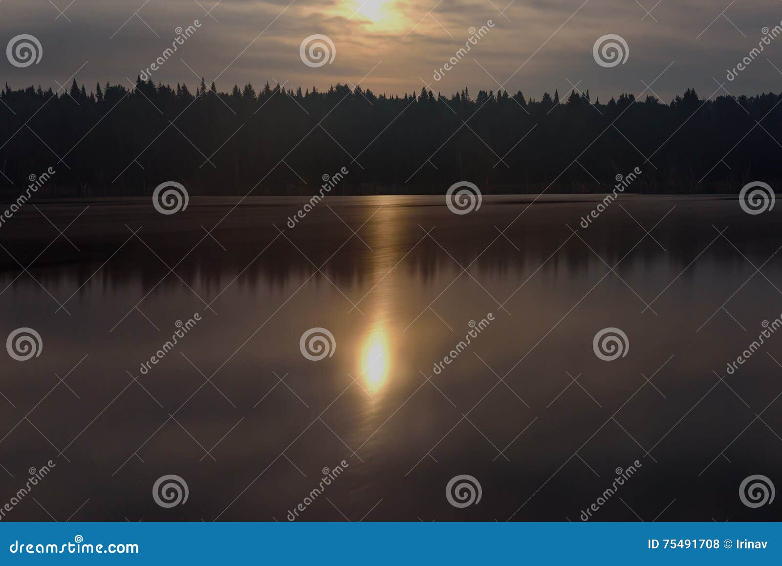 Moon Lake Forest Reflection Stock Photo - Image of forest, moonlight ...