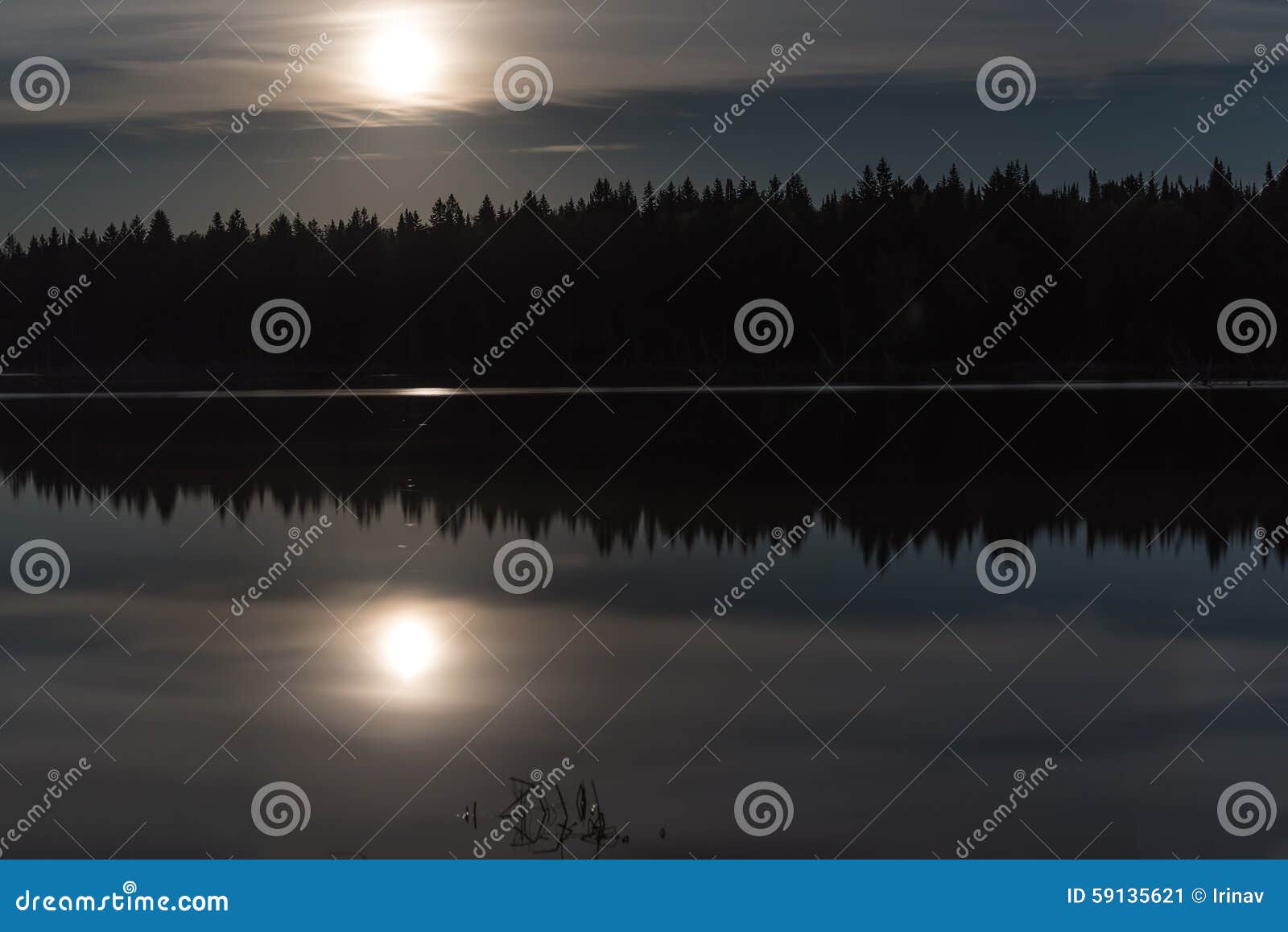 Moon Lake Forest Reflection Stock Image - Image of lights, blurred ...