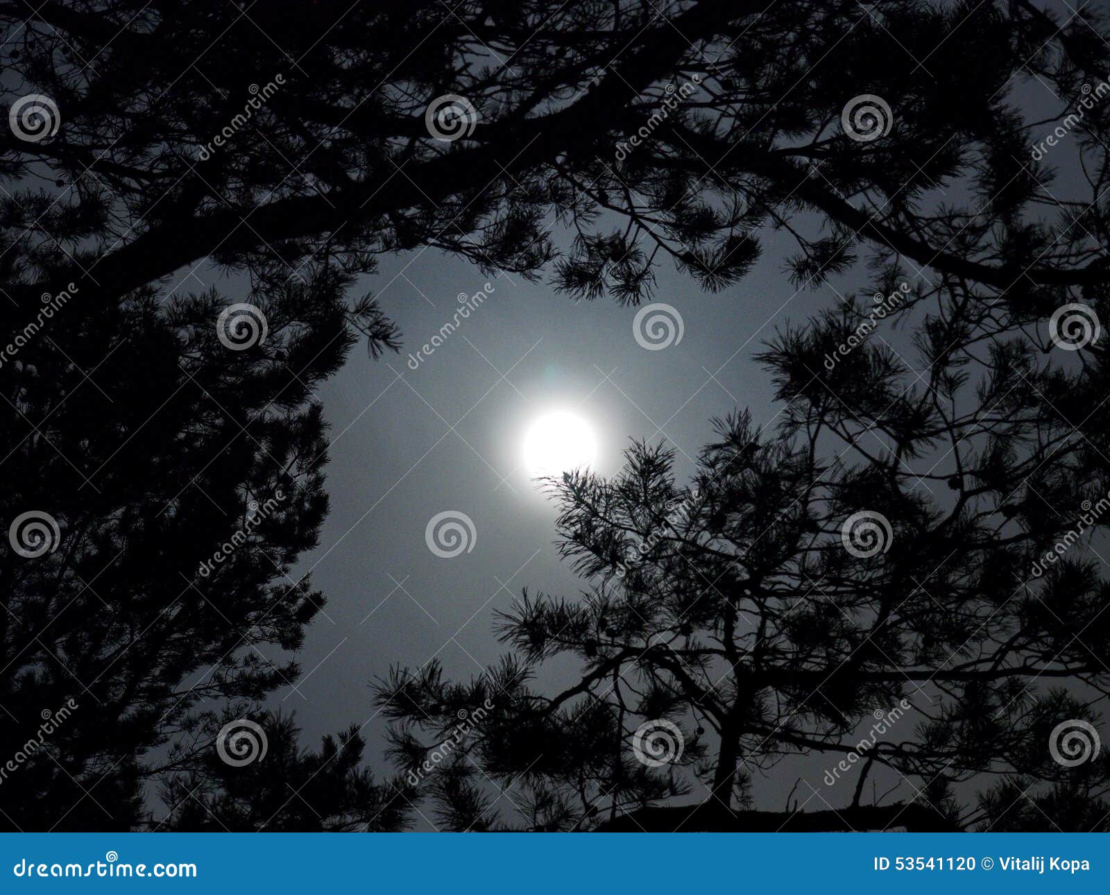Moon Light View In The Night Reflected On The Surface Of The River ...