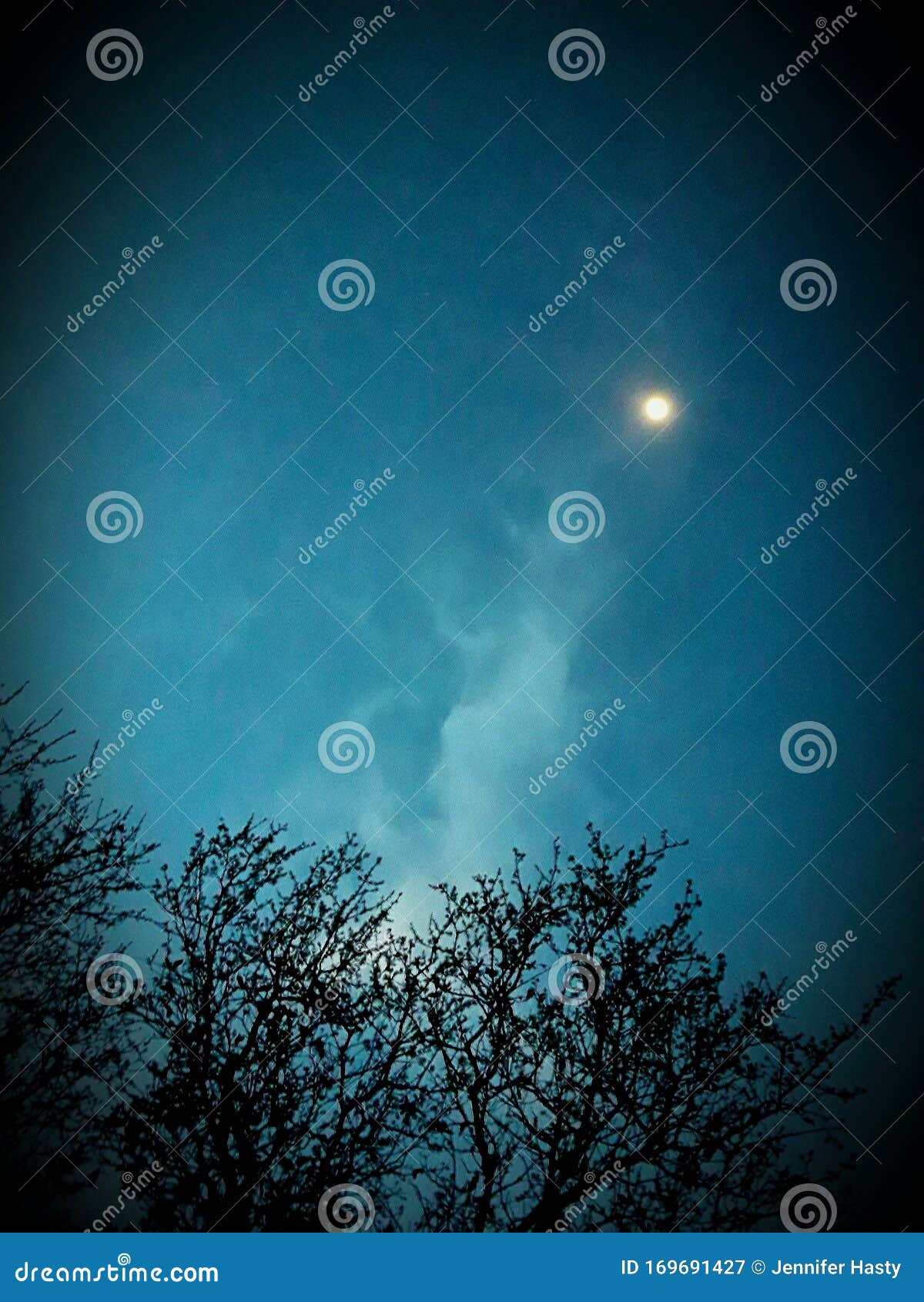 Moon light night stock image. Image of space, night - 169691427