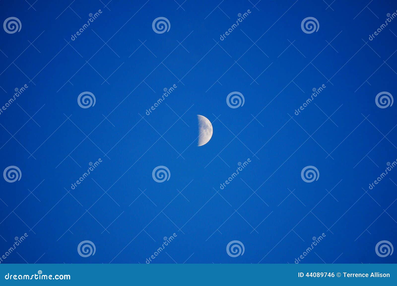 Moon light stock photo. Image of skyline, bright, nights - 44089746