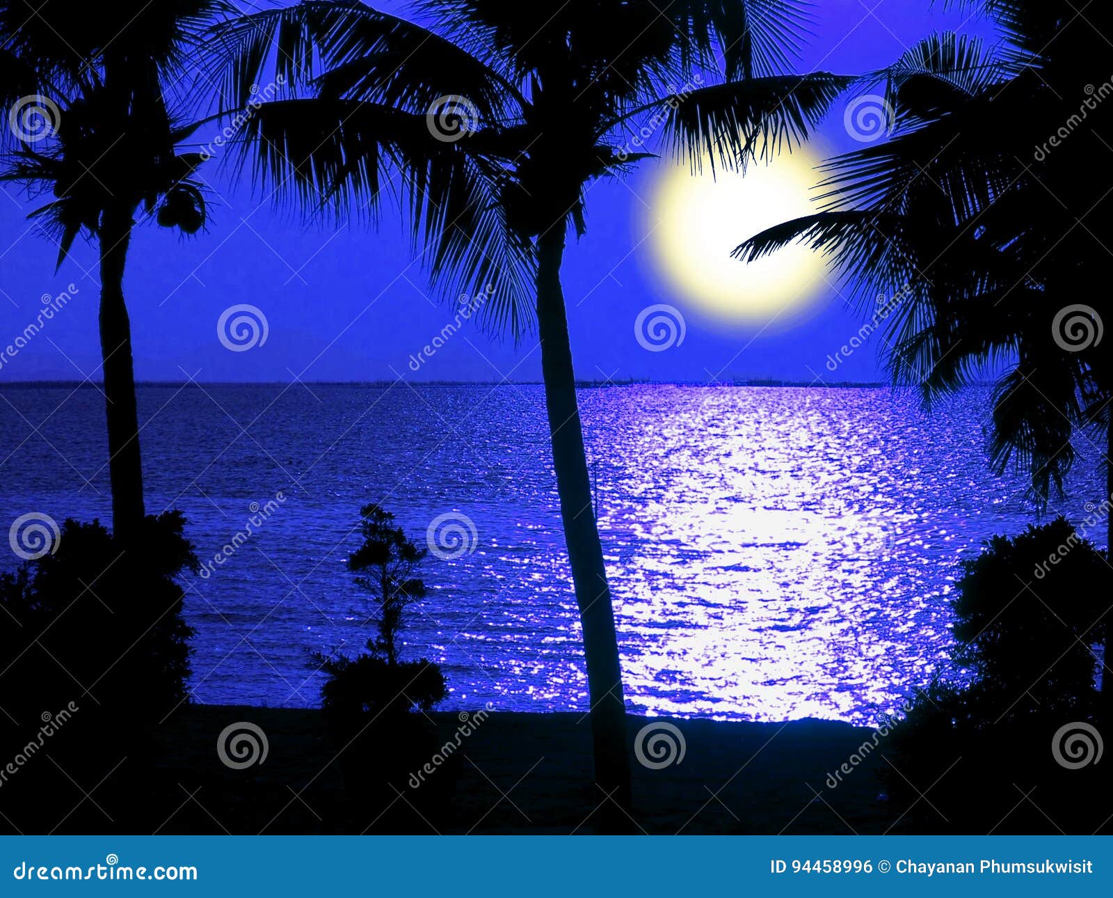 Moon Light Silhouette Coconut Tree in Night Stock Photo - Image of ...