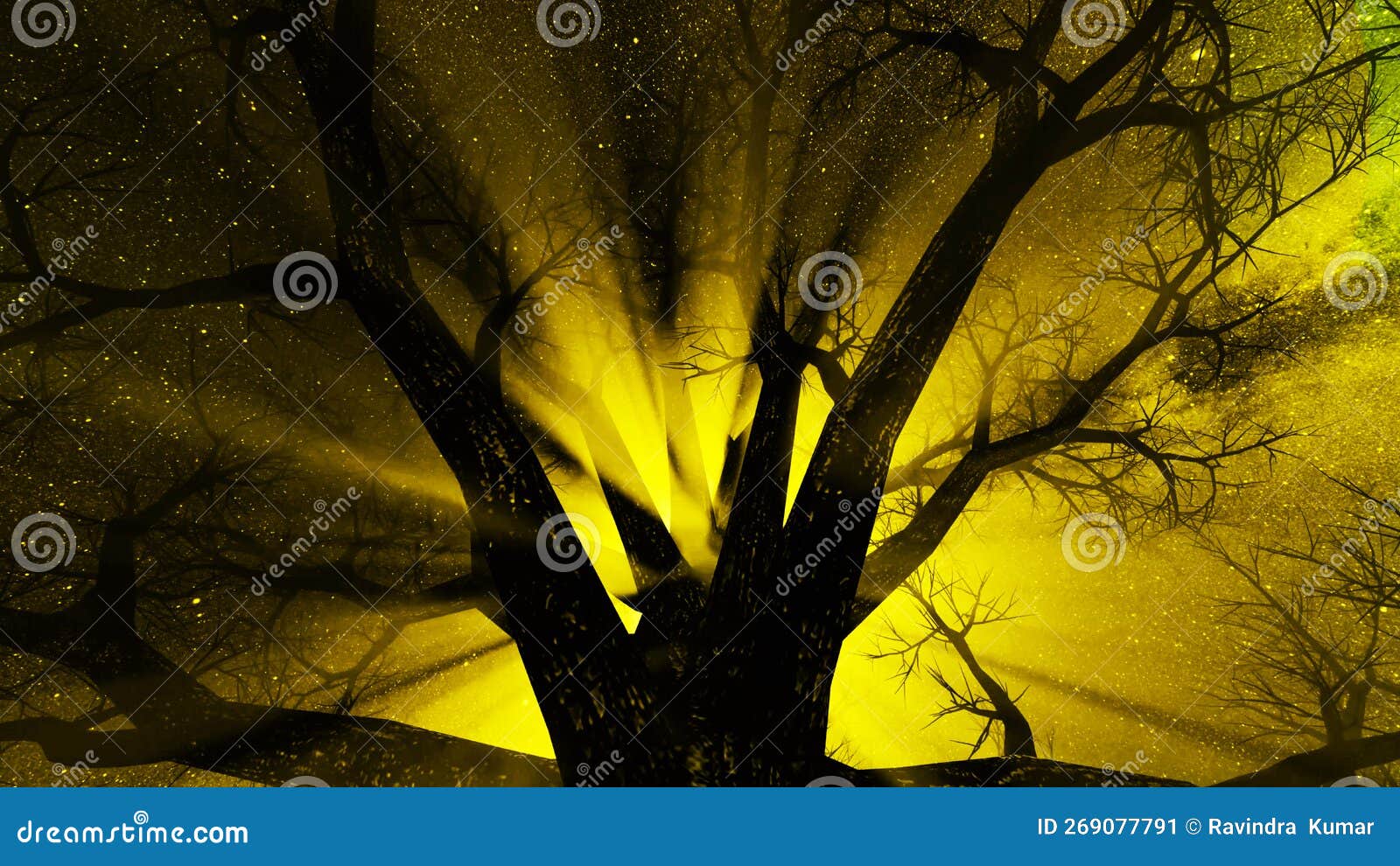 Moon Light and Snow through the Trees Stock Image Stock Illustration ...