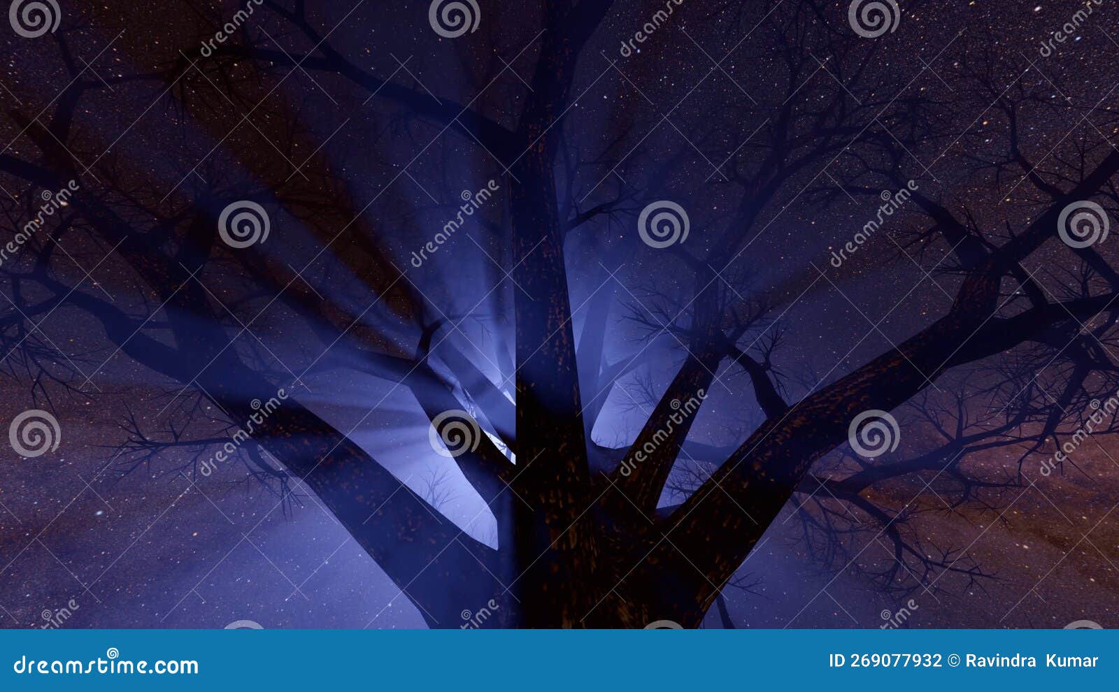 Moon Light and Snow through the Trees Stock Image Stock Illustration ...