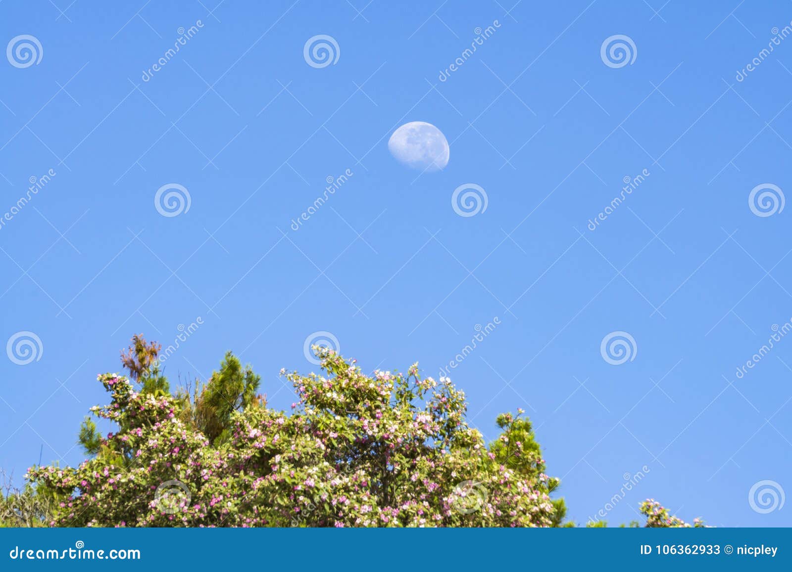 Mid Morning Stock Images - Download 6,707 Royalty Free Photos