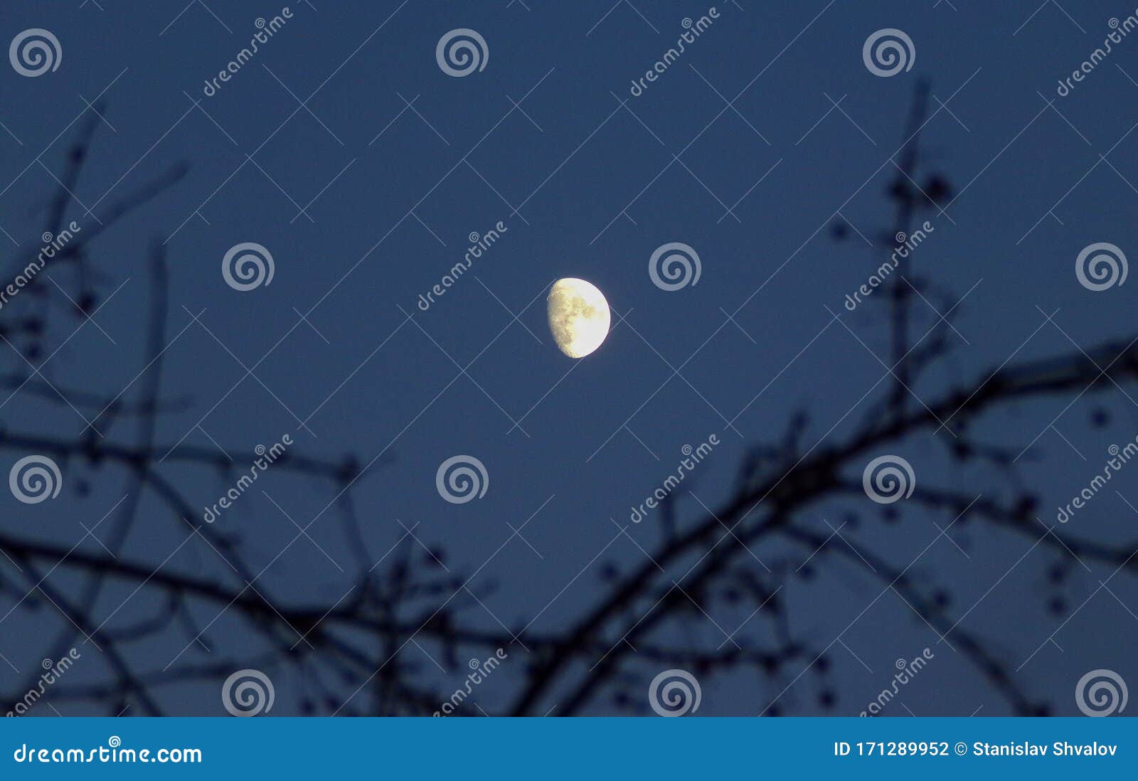 The Moon at Midnight with the Branches of a Tree. Stock Photo - Image ...