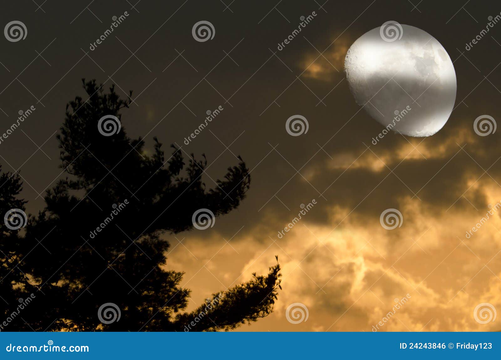 Moon mystic night stock photo. Image of lonely, dreams - 24243846