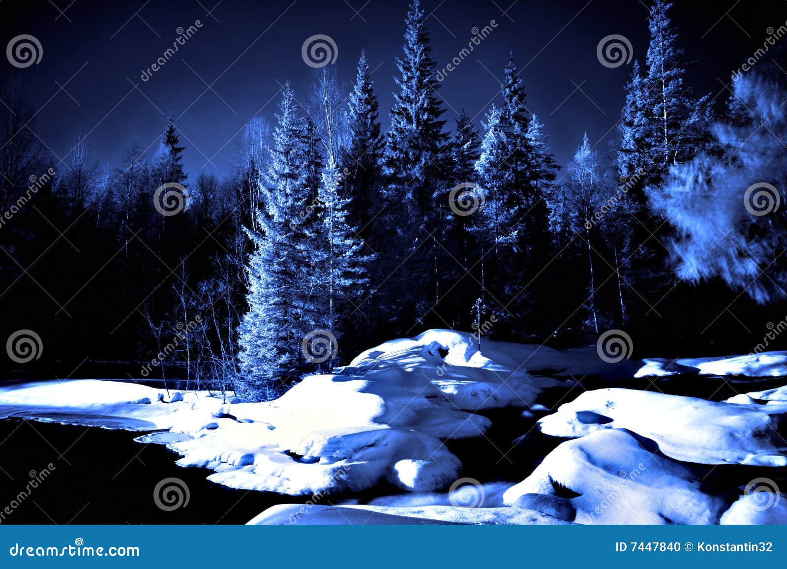 Moon Night in Lake in Deep Forest Stock Photo - Image of great, blue ...