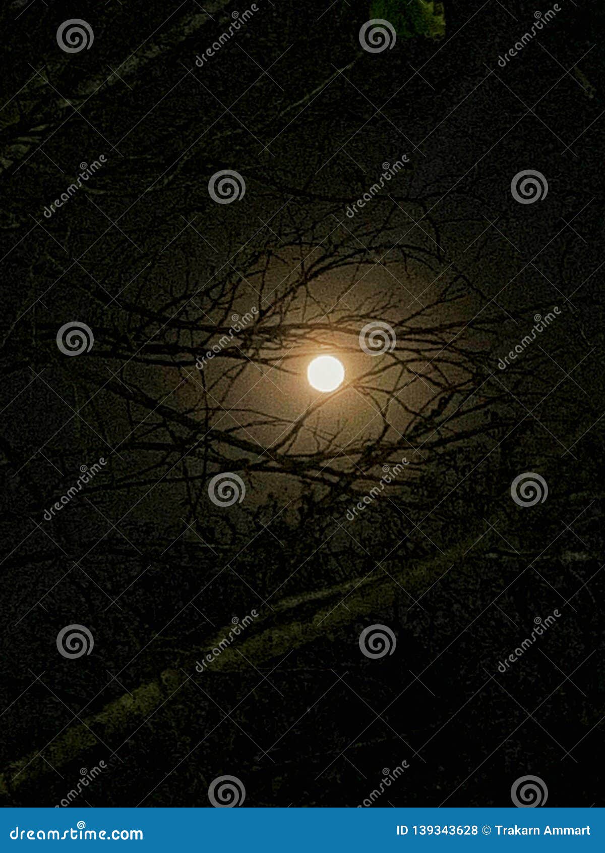 Moon in the Night Moonlight Shadow To the Earth Stock Photo - Image of ...