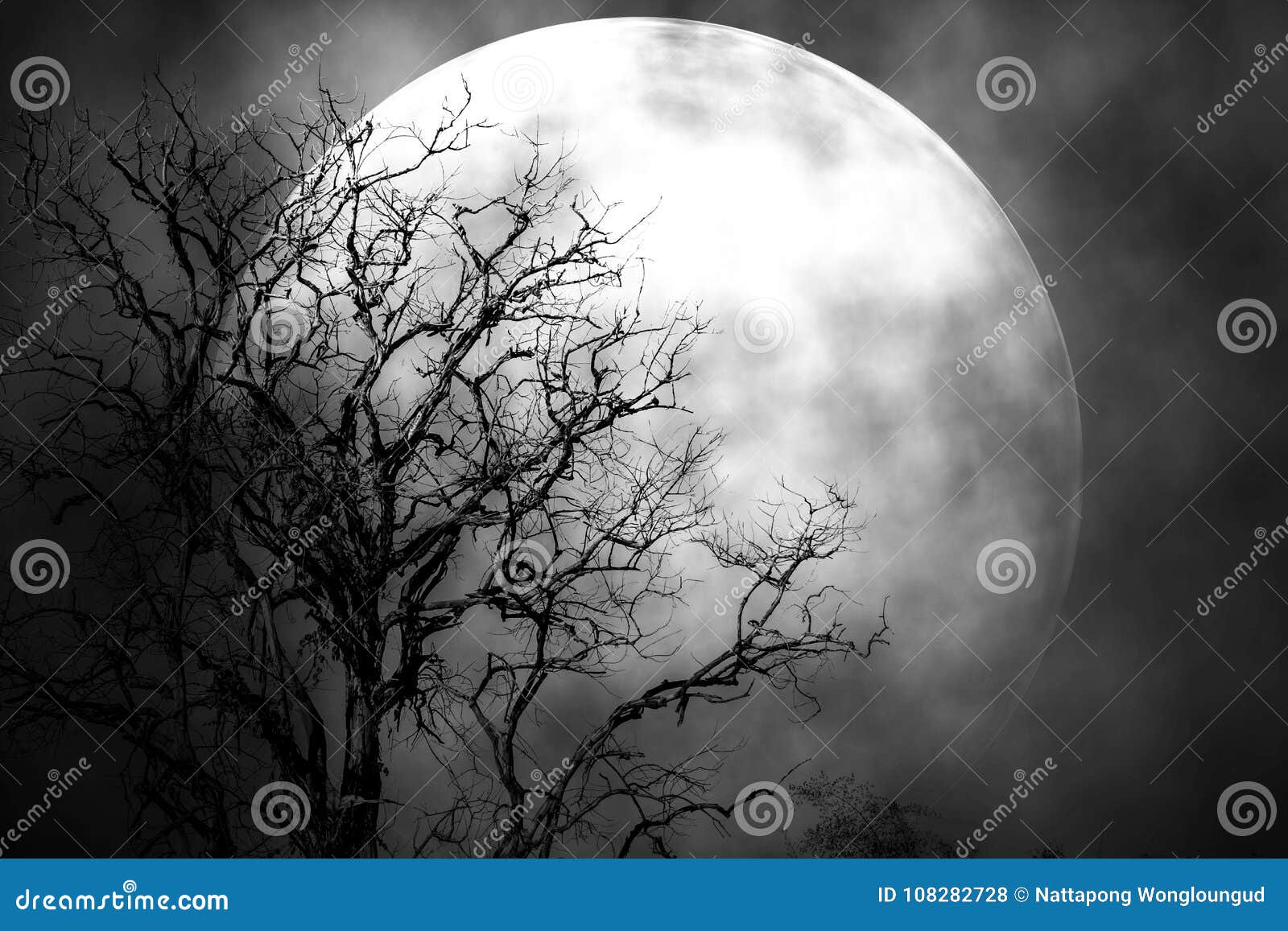 108,033 Scary Nature Stock Photos - Free & Royalty-Free Stock Photos ...