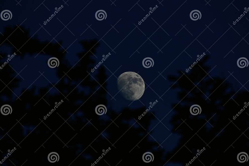 The moon at night stock image. Image of natural, astronomy - 327624379