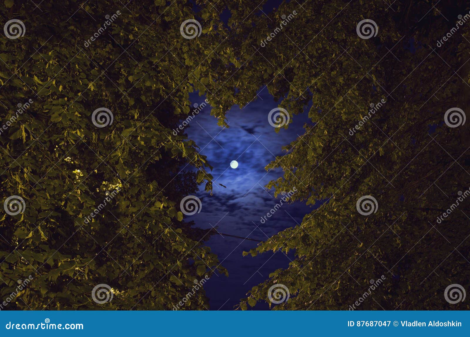 The Moon at the Night Sky through the Trees Stock Image - Image of ...