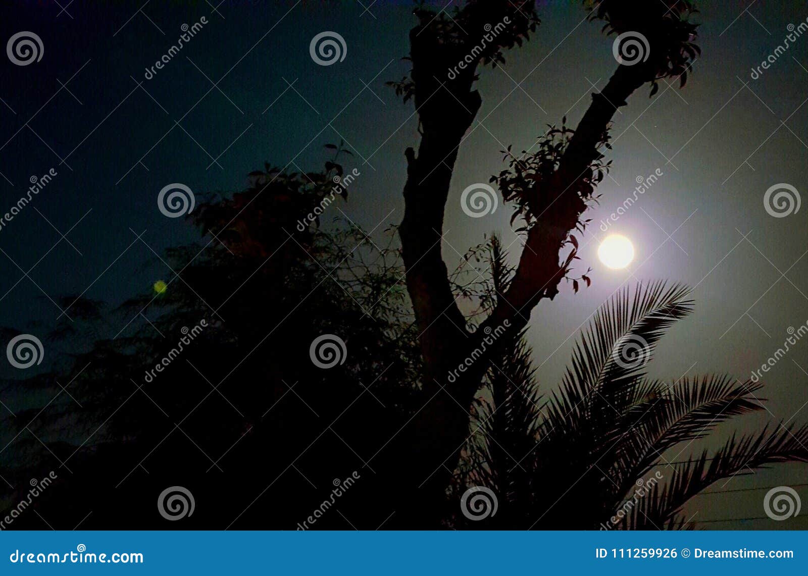 Moon night view stock photo. Image of view, night, beautiful - 111259926