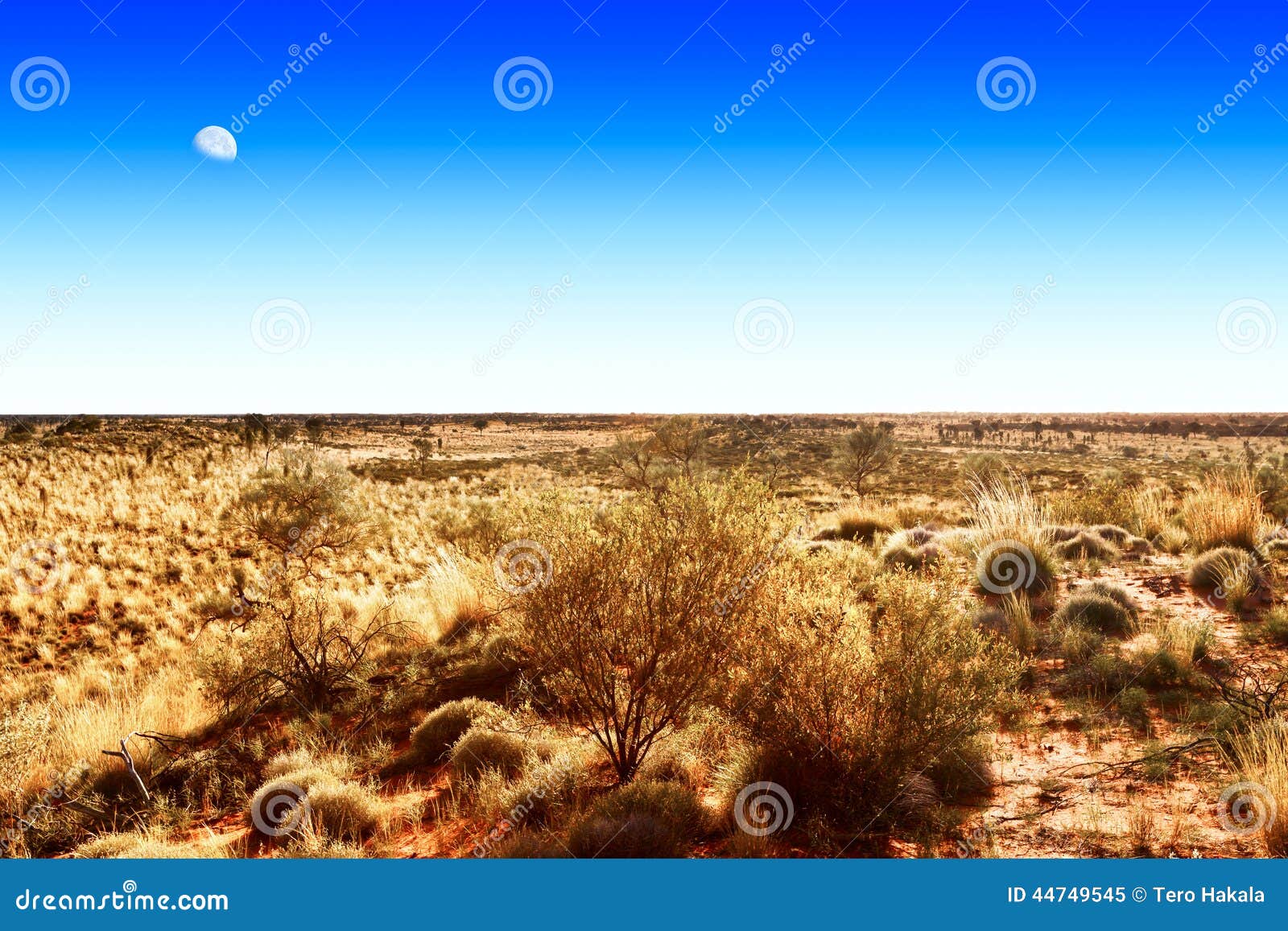 Moon Over Australian Outback Stock Image - Image of sunny, color: 44749545
