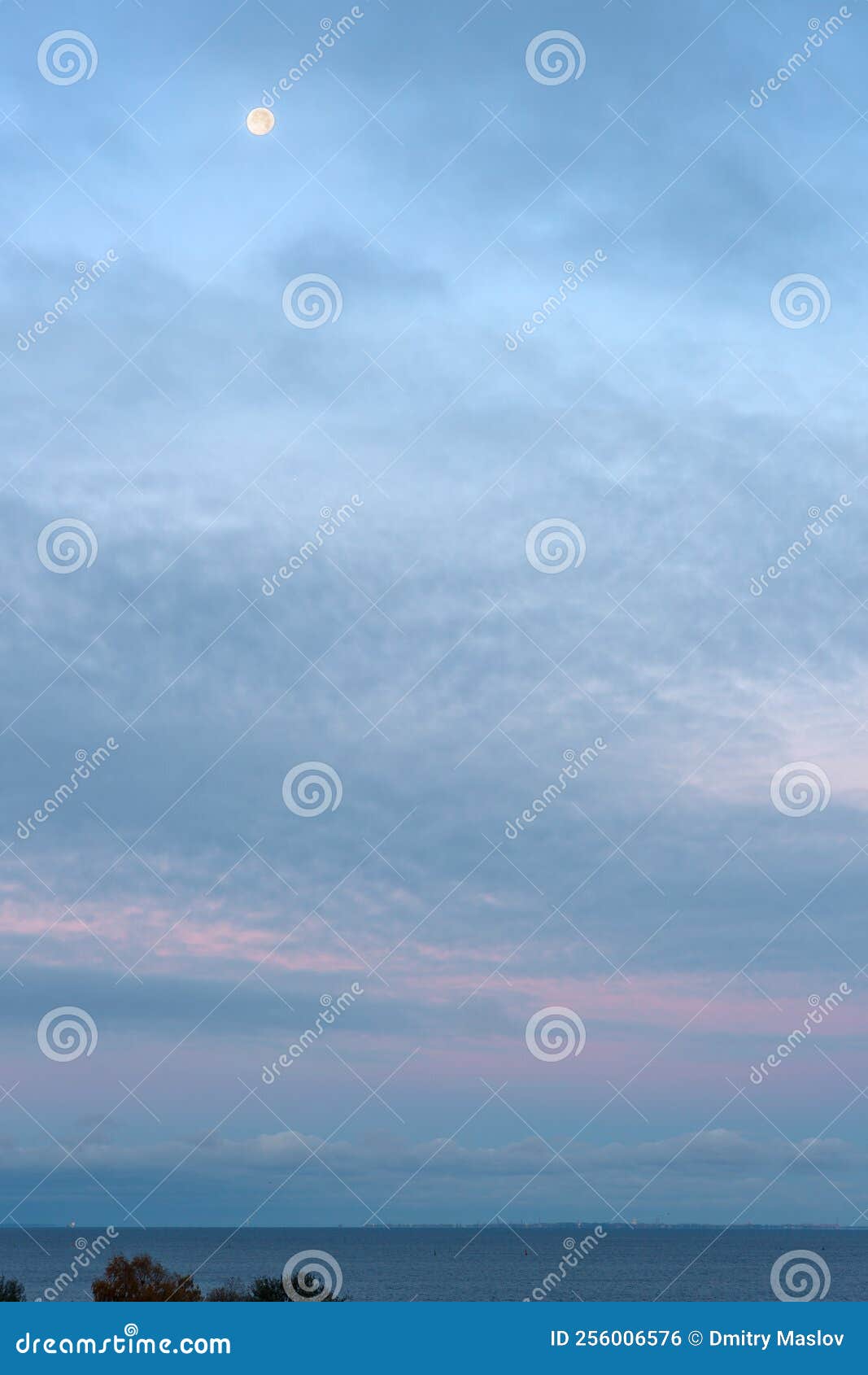 Moon over the bay stock photo. Image of horizon, dawn - 256006576