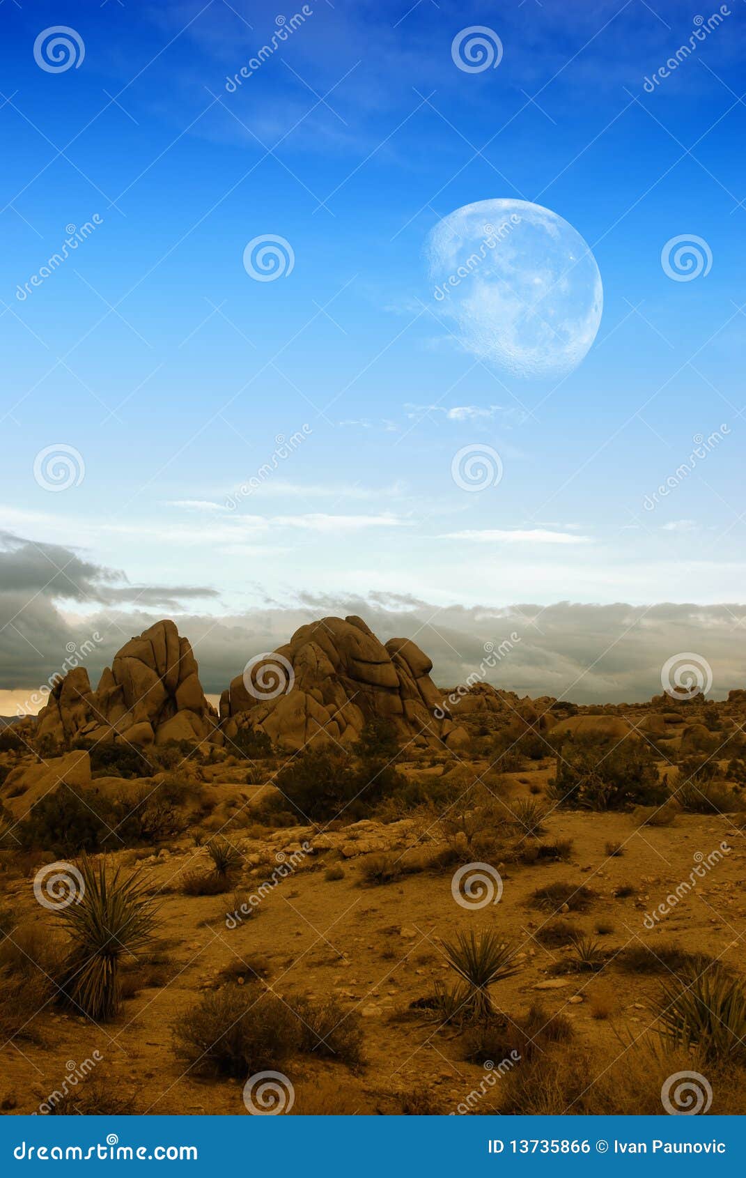 Moon over desert stock photo. Image of desert, ocotillo - 13735866