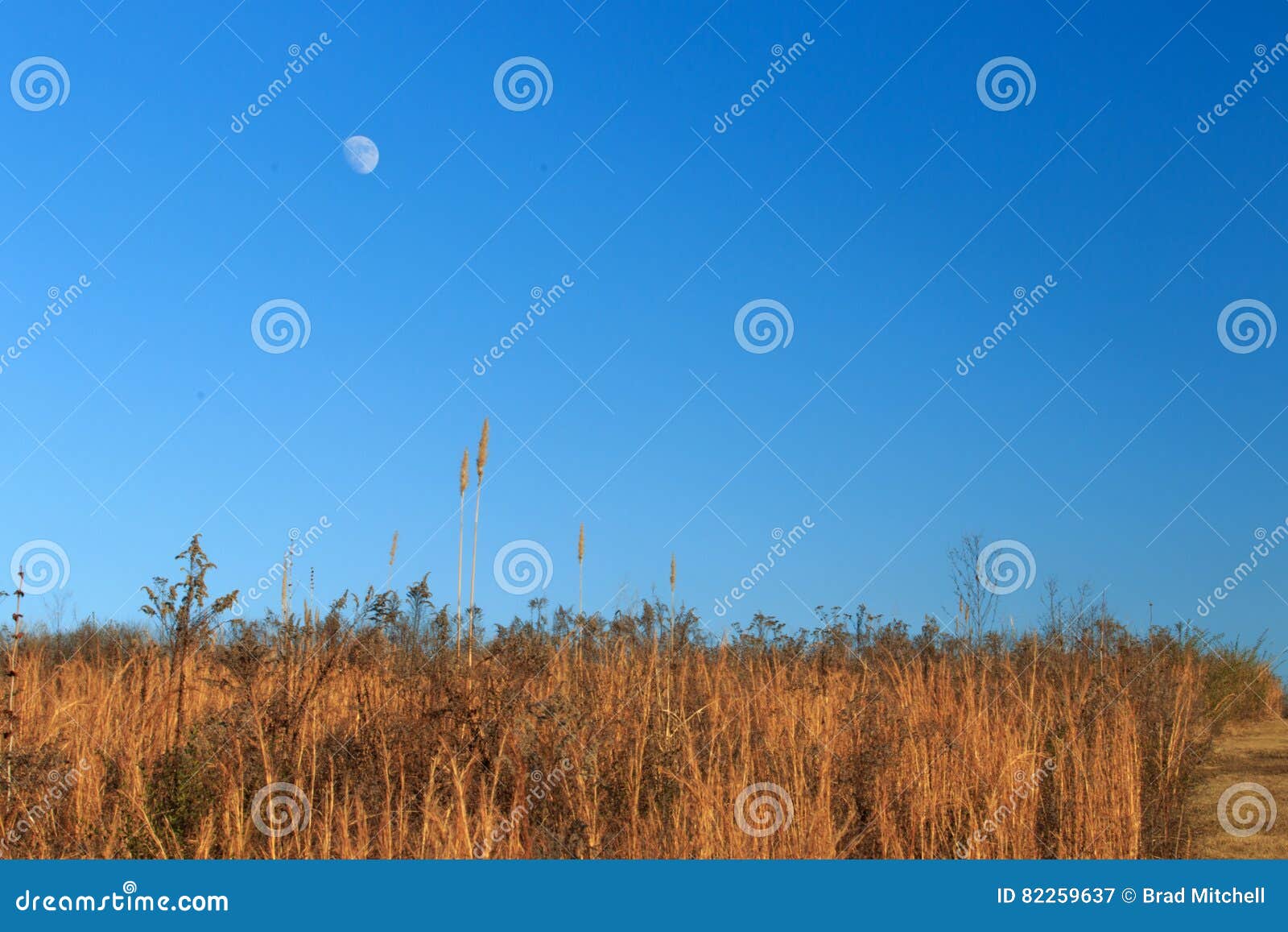 Moon over field stock image. Image of retreat, bend, moon - 82259637