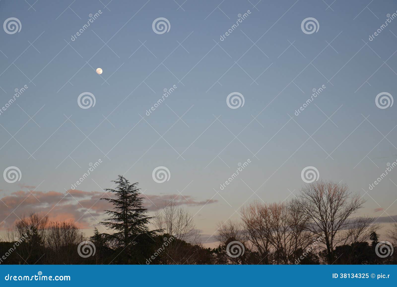 Moon over forest at dusk stock image. Image of dark, silhouettes - 38134325