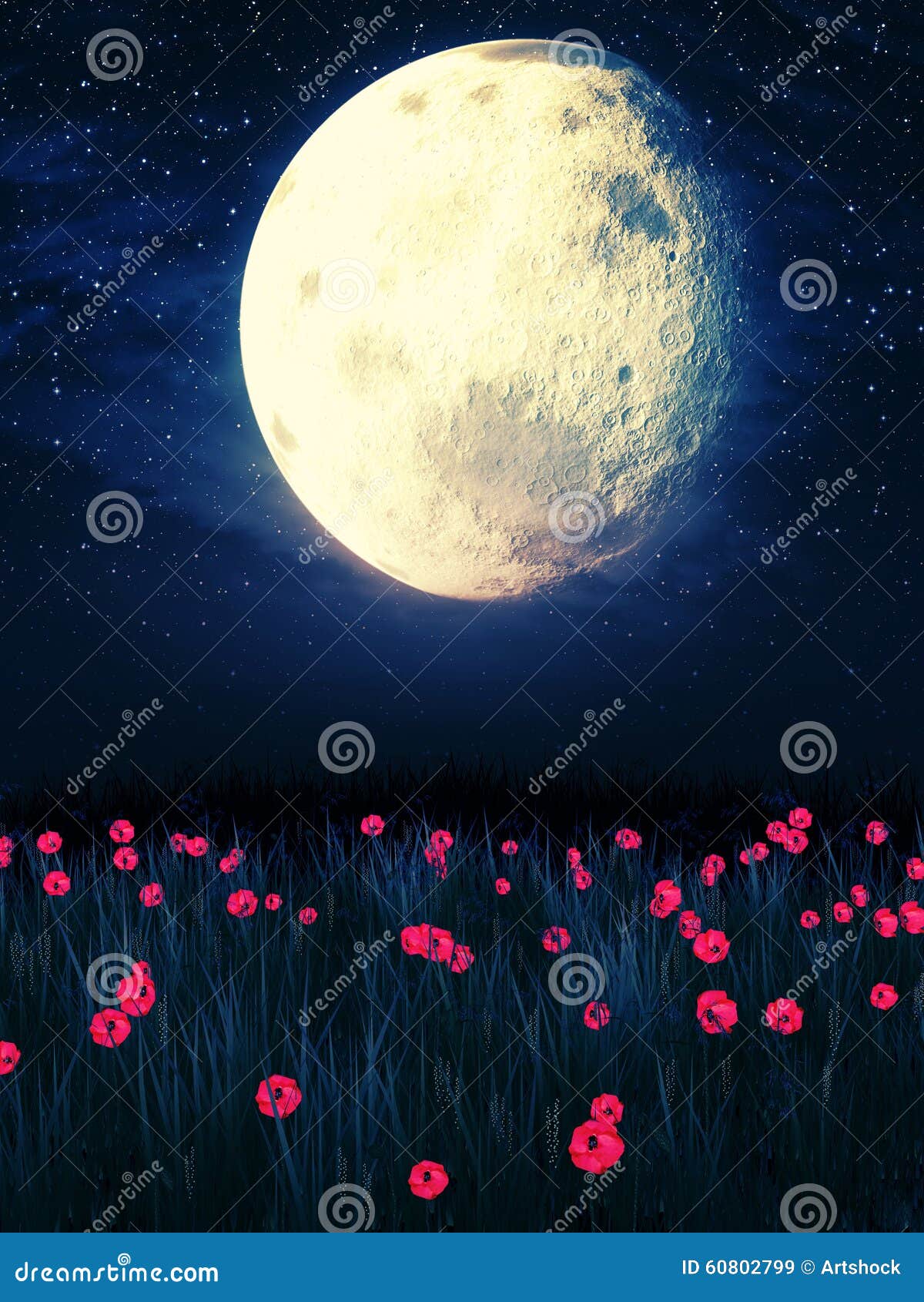 Moon over Grass Field stock illustration. Illustration of field - 60802799